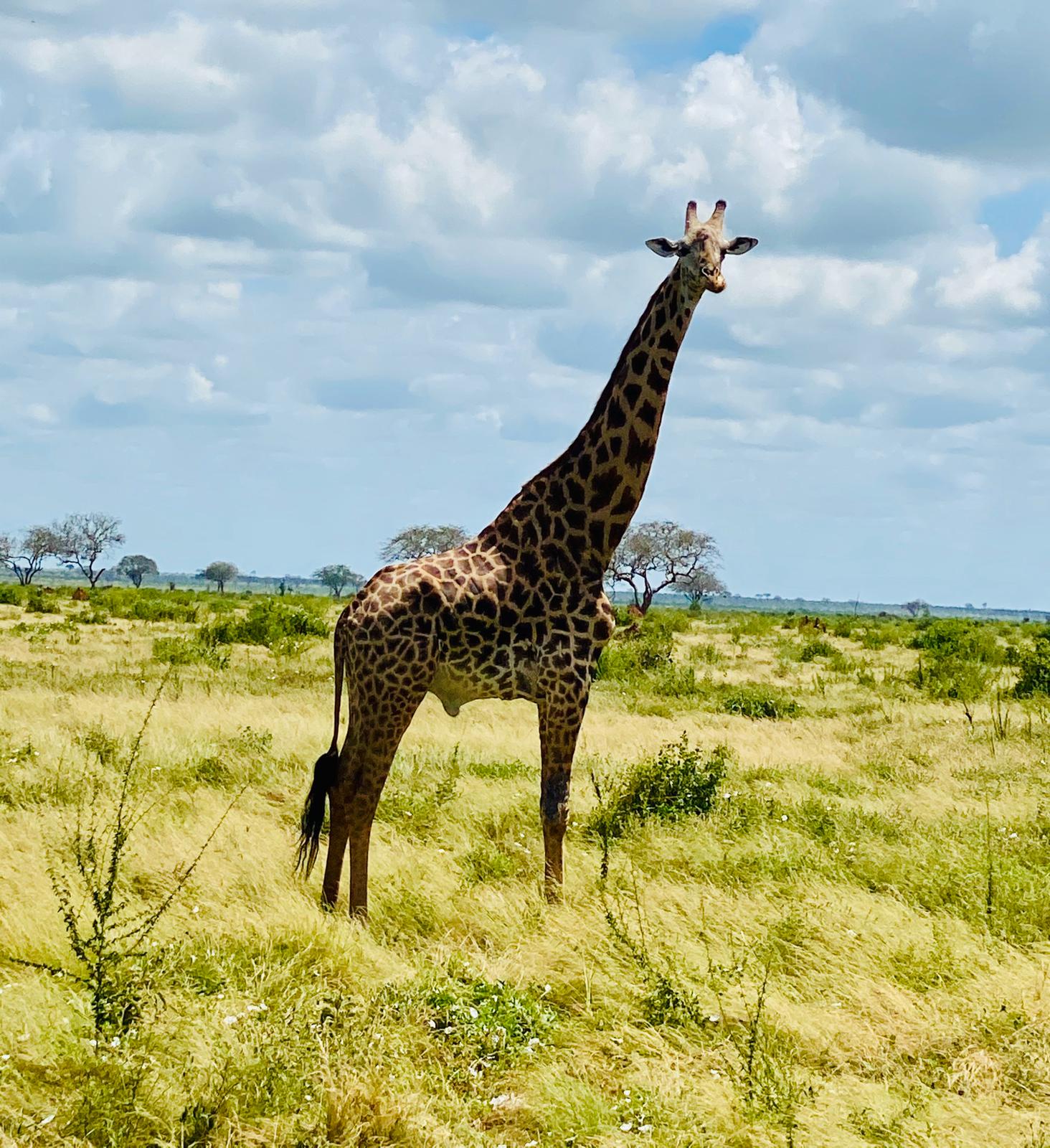 5 reasons to visit Kenya| Magical Kenya – Coral Spirit